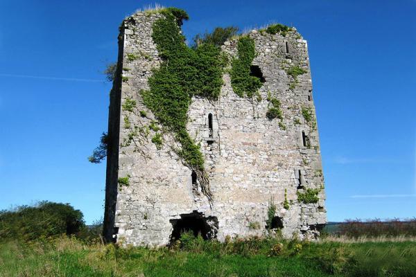 Proud Suppliers to Landmark Castle Restoration Projects - Trinity Stone