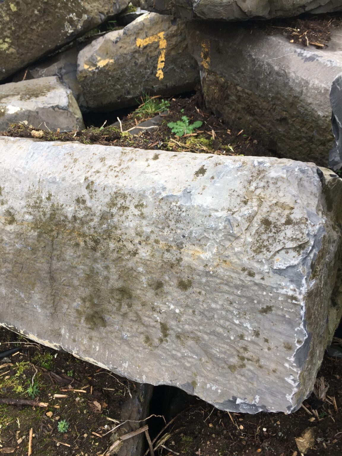Limestone Hand-Carved Blocks - Trinity Stone