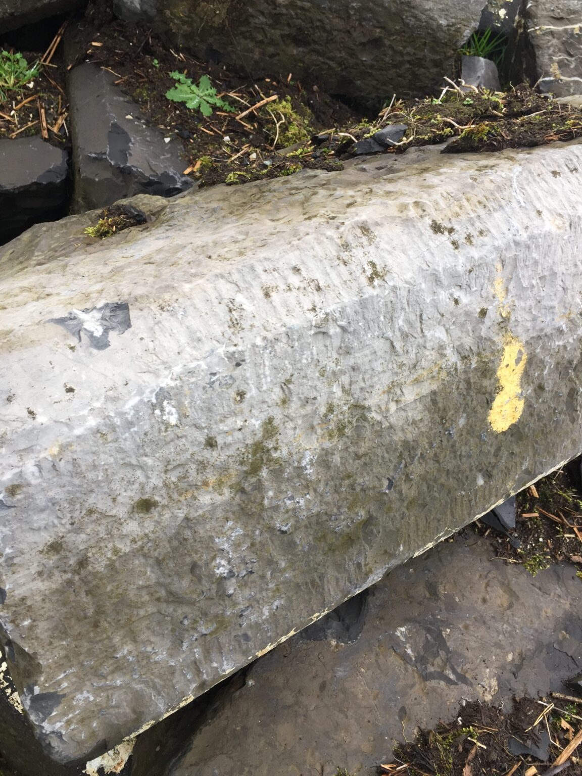 Limestone Hand-Carved Blocks - Trinity Stone