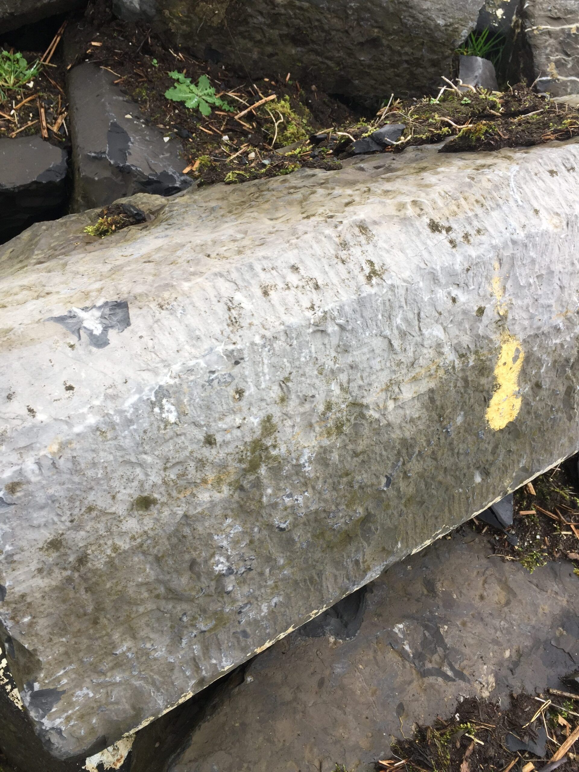 Limestone Hand-Carved Blocks - Trinity Stone