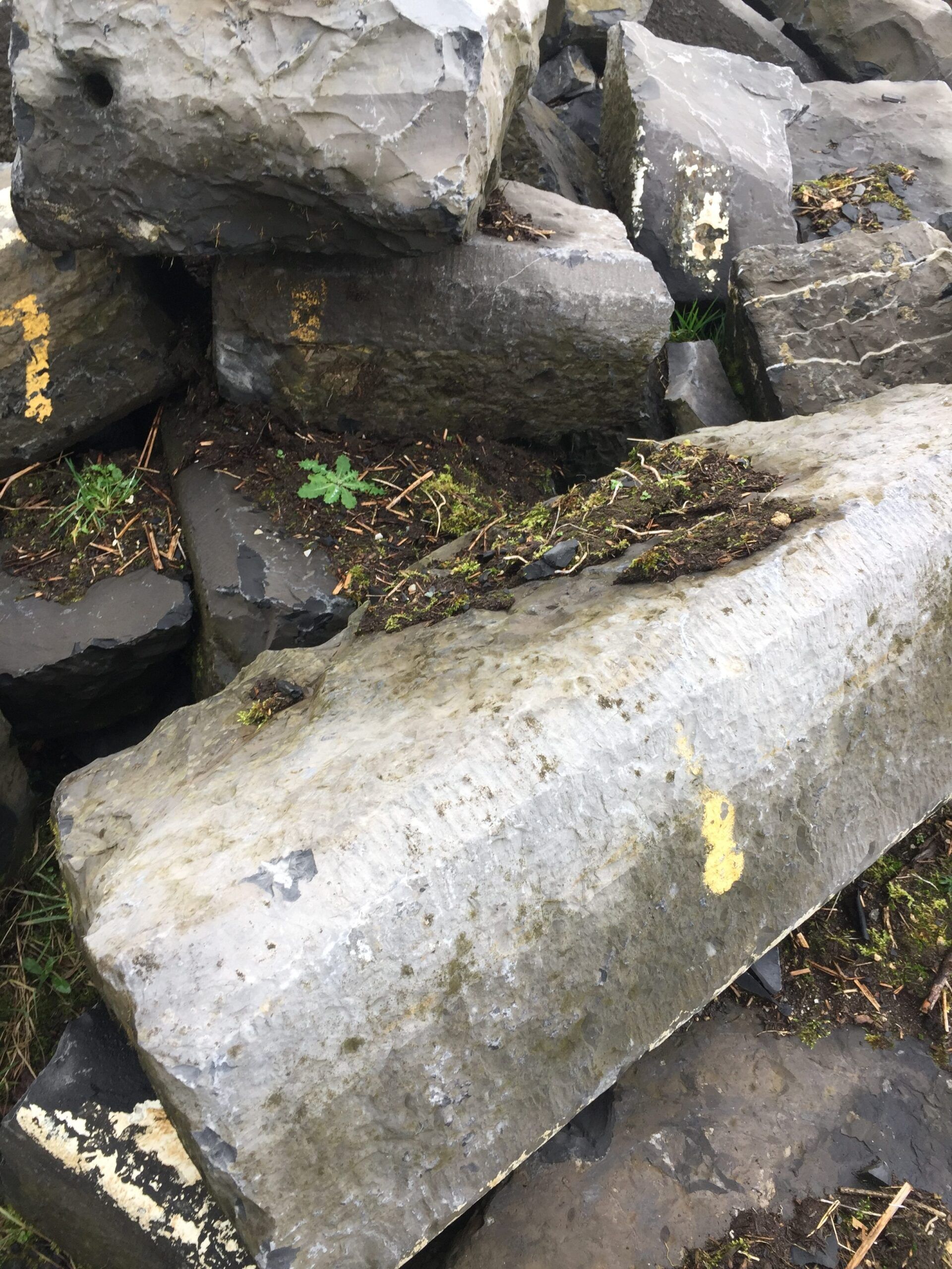 Limestone Hand-Carved Blocks - Trinity Stone